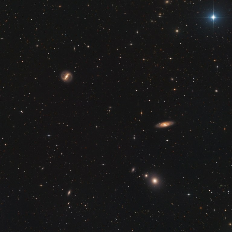 NGC 4314, NGC 4274 and Friends – Bart Delsaert – Astrophotography
