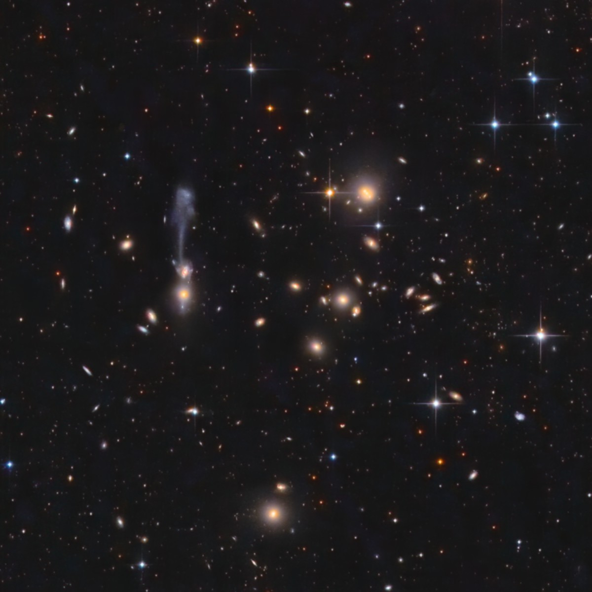 Arp 105 “The Guitar” in Abell 1185 – Bart Delsaert – Astrophotography